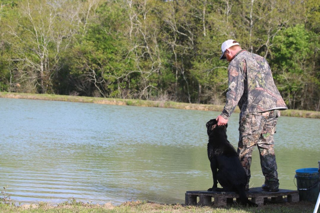 Cajun Hunting Retriever Club - Cajun Hunting Retriever Club
