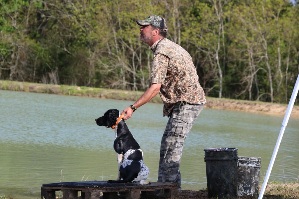 Cajun Hunting Retriever Club - Cajun Hunting Retriever Club