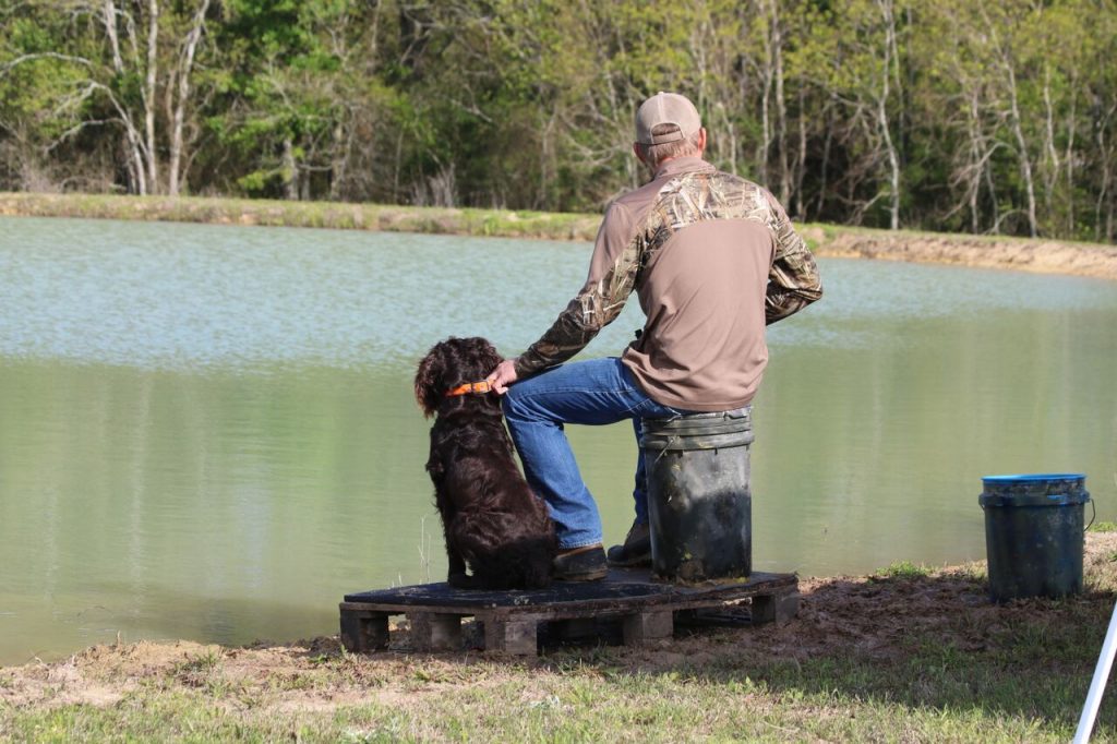 Cajun Hunting Retriever Club - Cajun Hunting Retriever Club